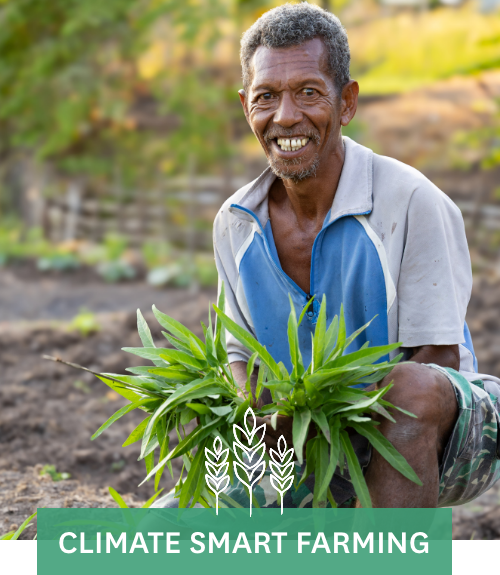 UnitingWorld : Lent Event trial